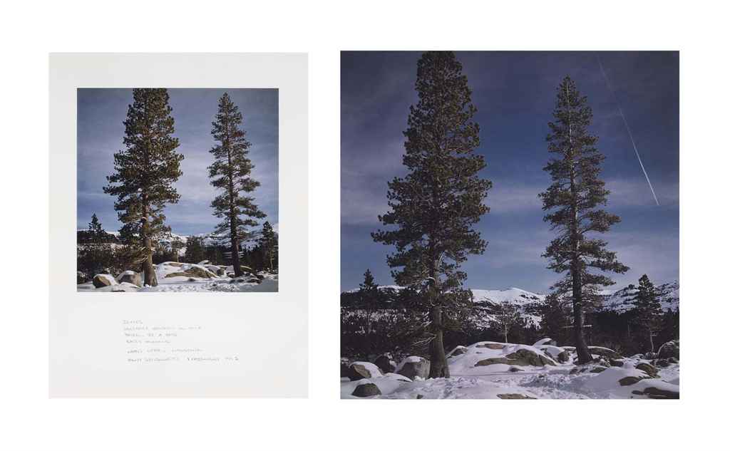 ANDY GOLDSWORTHY (B. 1956) - auctions & price archive