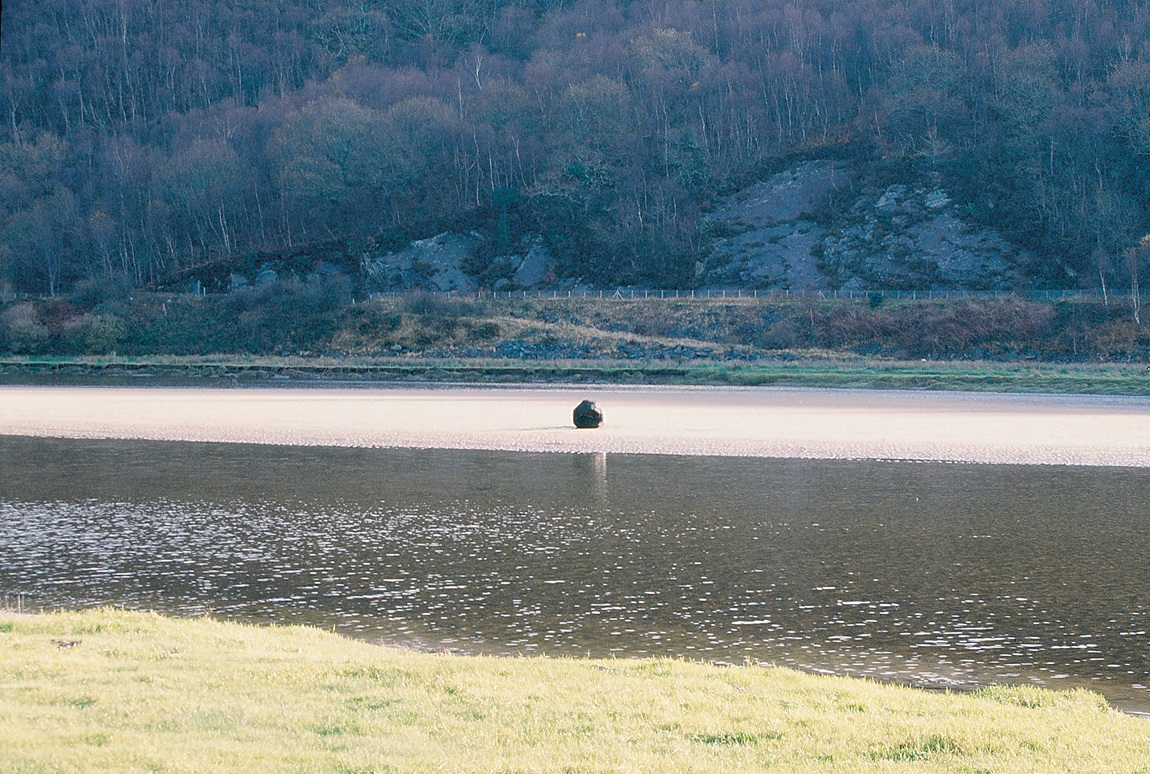 From the archives: The mystery of the ‘free-range sculpture’ that ...