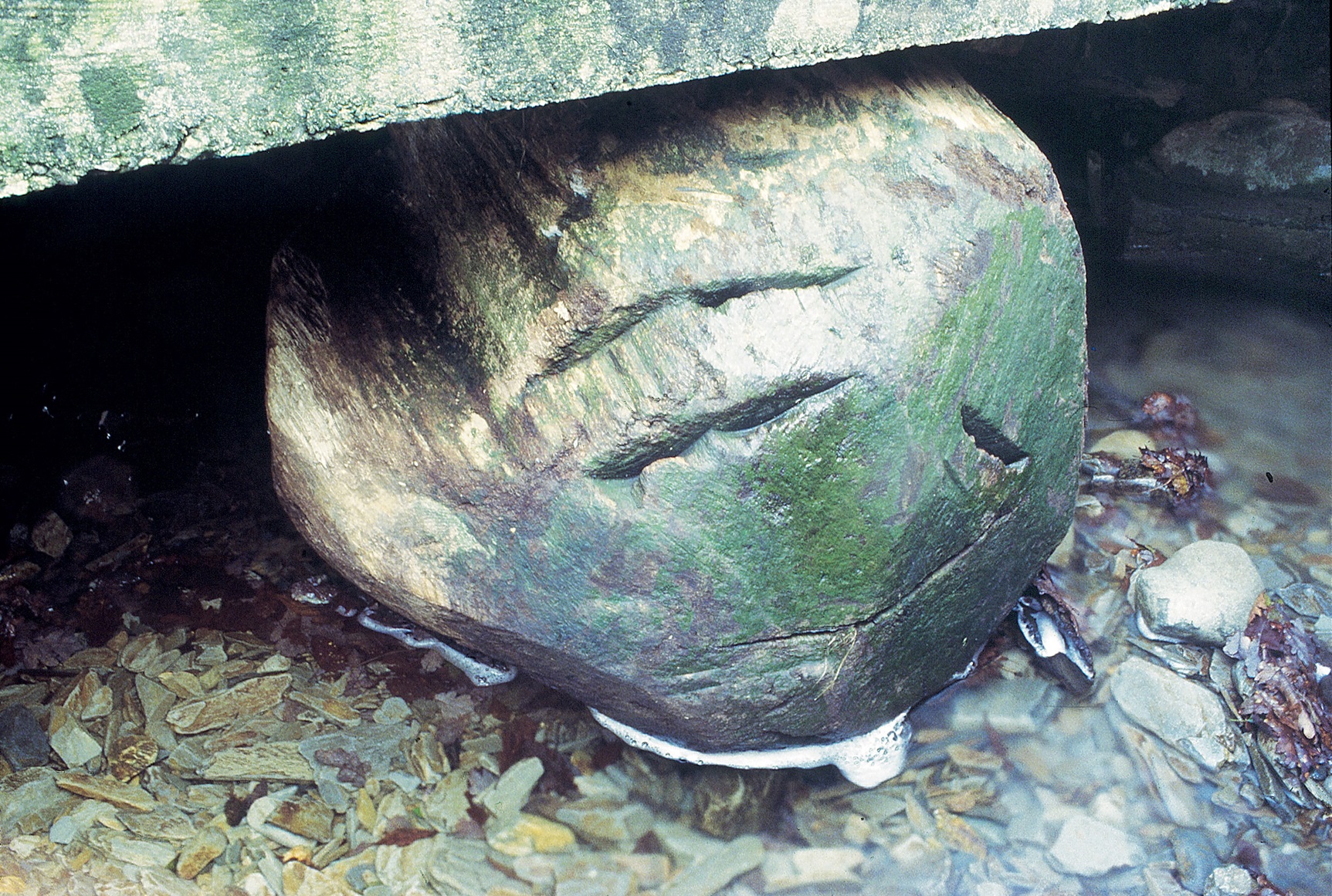 From the archives: The mystery of the ‘free-range sculpture’ that ...