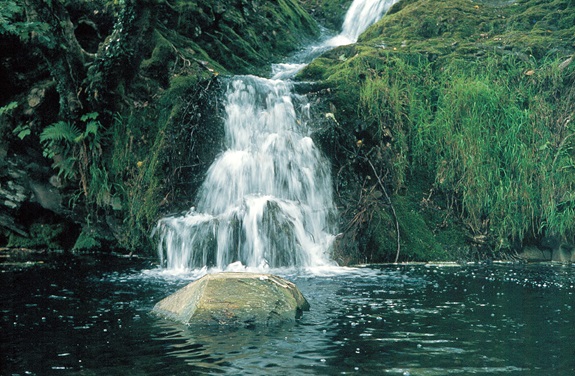 From the archives: The mystery of the ‘free-range sculpture’ that ...