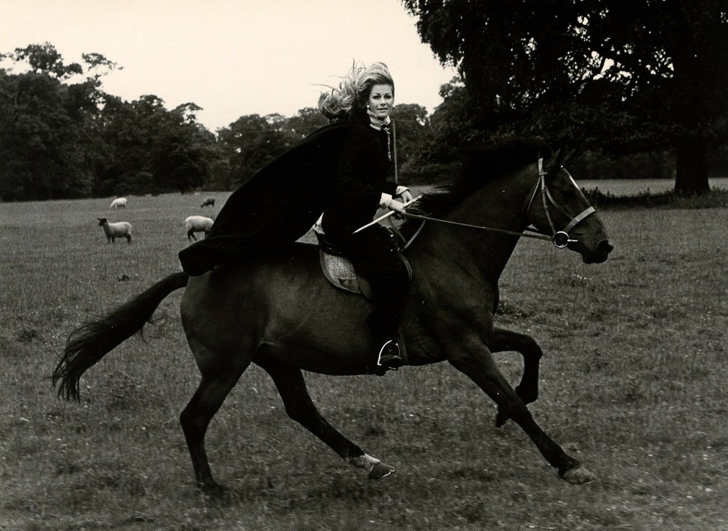 ‘At every turn the eye would fall on something beautiful’: the Robin ...