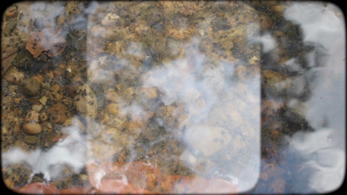 How collector Shane Akeroyd created an online museum of moving-image ...