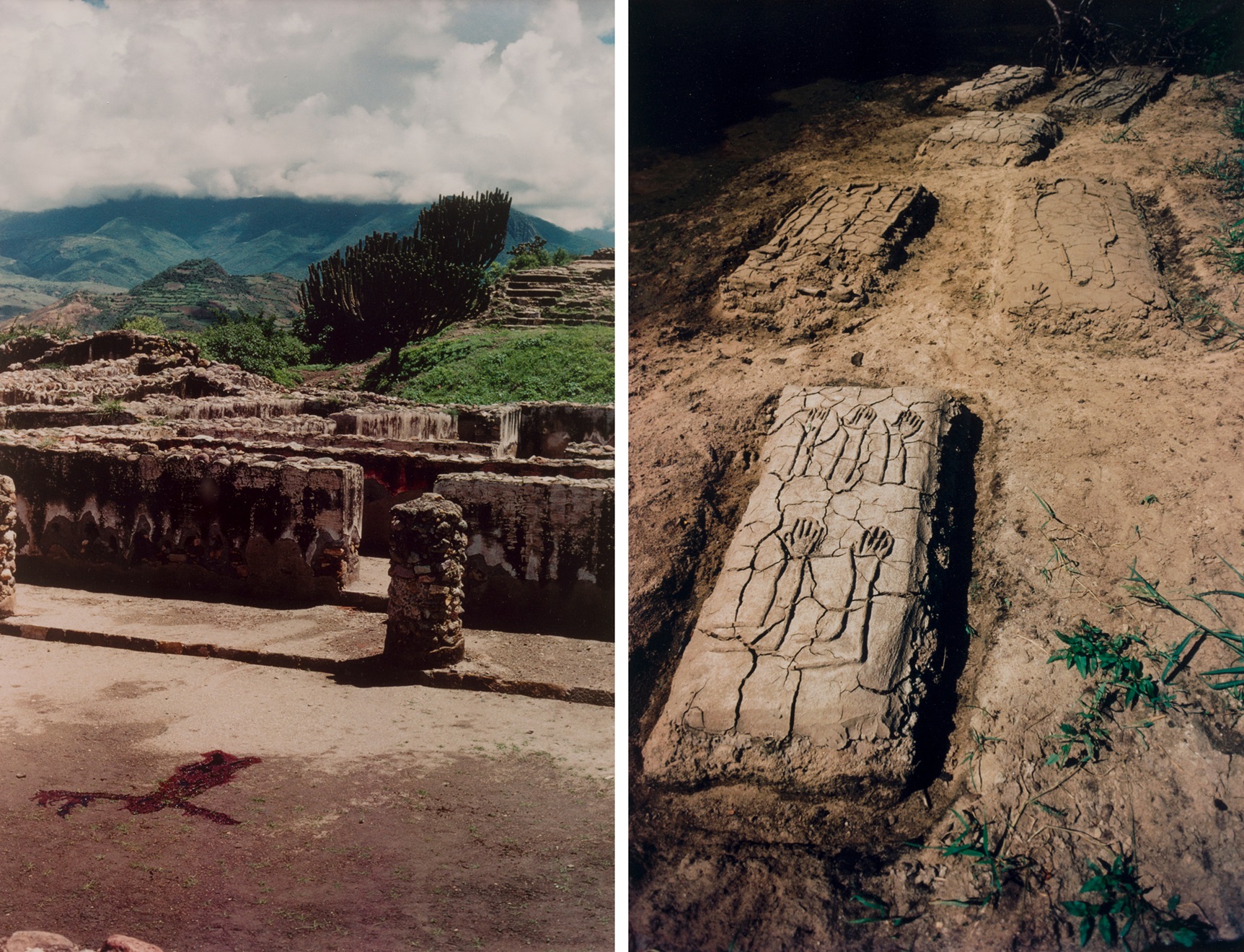 Ana Mendieta’s world: the ultimate guide to the artist