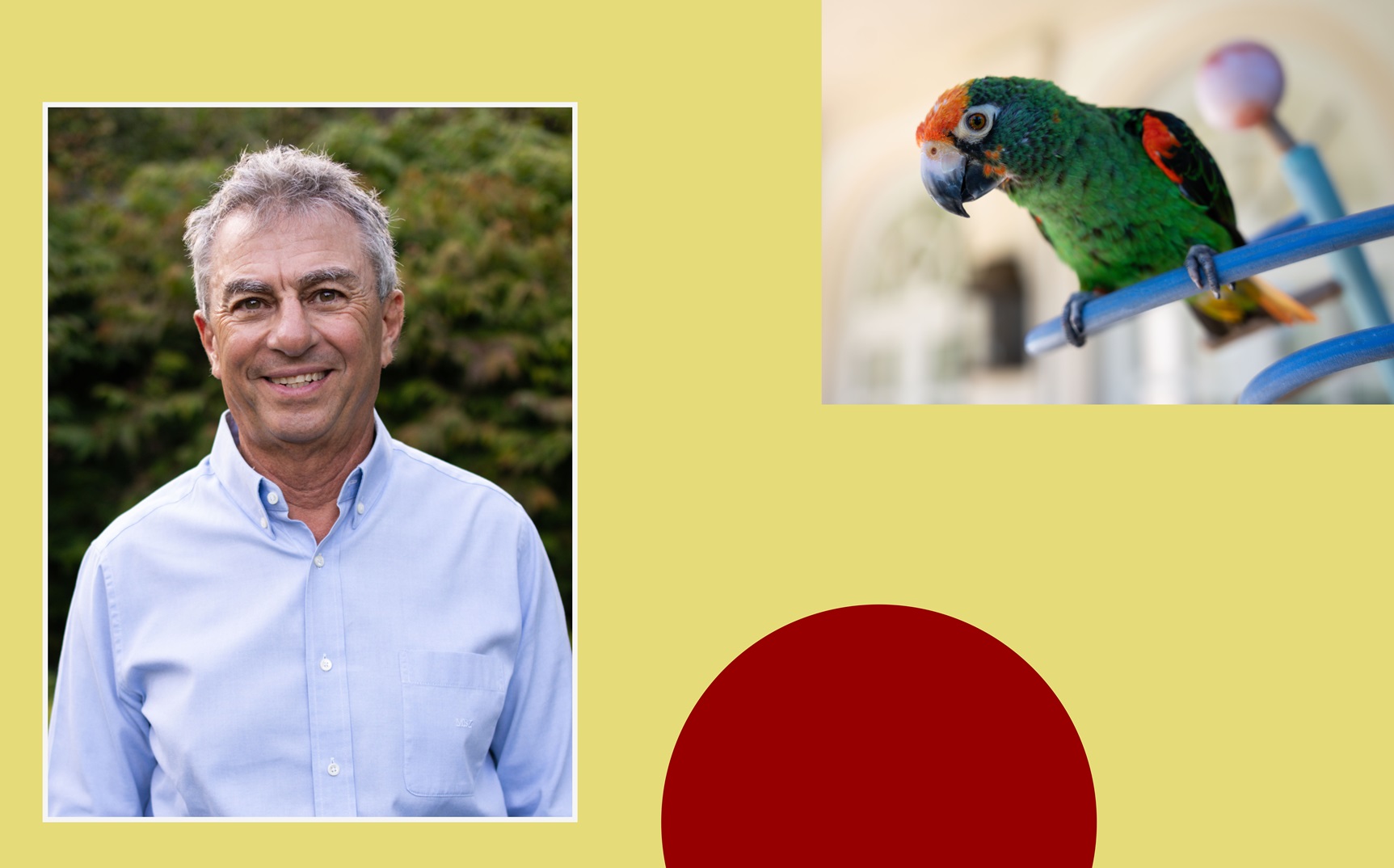 In the Frame: Michael Zilkha