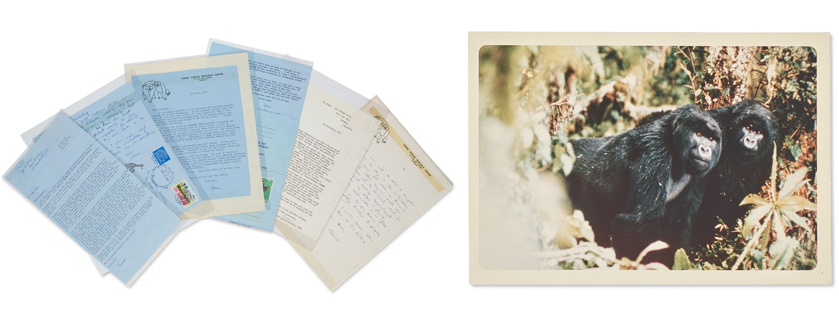 Our specialists’ top picks from Gen One: Innovations from the Paul G ...