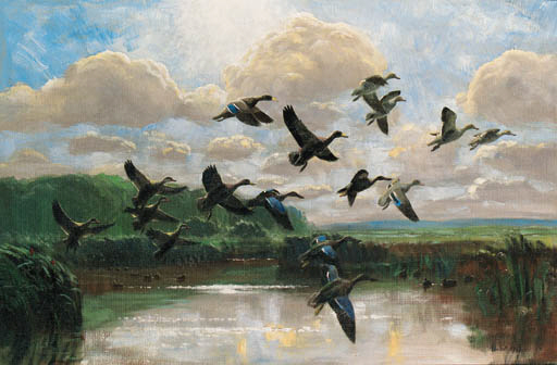 Sir Peter Scott, C.H. (1909-1989)