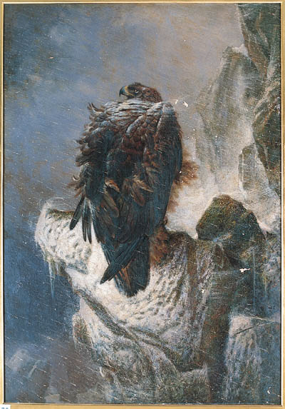 Joseph Wolf R.I. (German, 1820-1899)