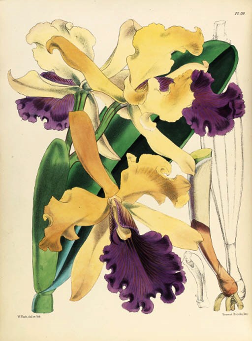 James Bateman (1811-1897) | Christie's