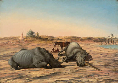 Thomas Baines (1820-1875)