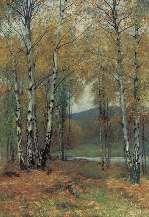James Thomas Watts (1853-1930) , Silver birch trees, autumn | Christie's