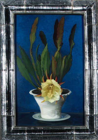 Gluck (Hannah Gluckstein) (1895-1976) , Flowering cactus | Christie's