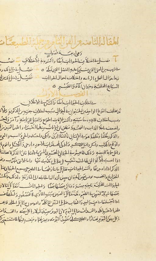 Abu 'Ali Ibn Sina (d. AH 428/1037 AD): Kitab al-Shifa' , PROBABLY IRAN ...