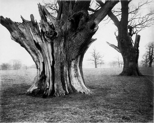 BARON WILLIAM PETRE (1817-1884)