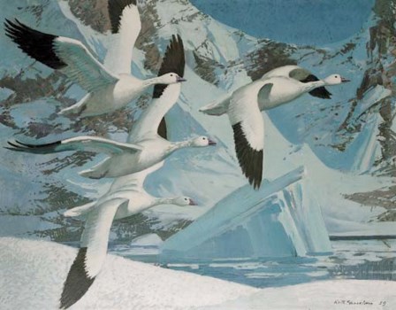 KEITH SHACKLETON (B.1923), british , Snow Geese | Christie's