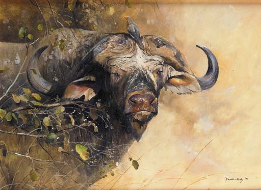 David Kelly (B.1959), malawian