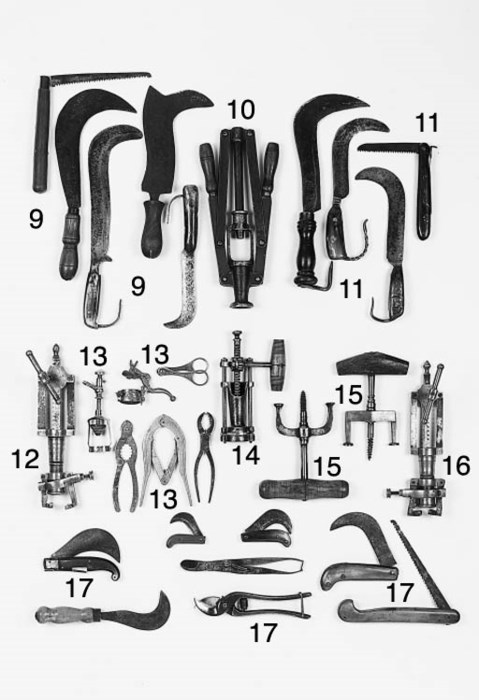 A COLLECTION OF HARVESTING TOOLS | Christie's