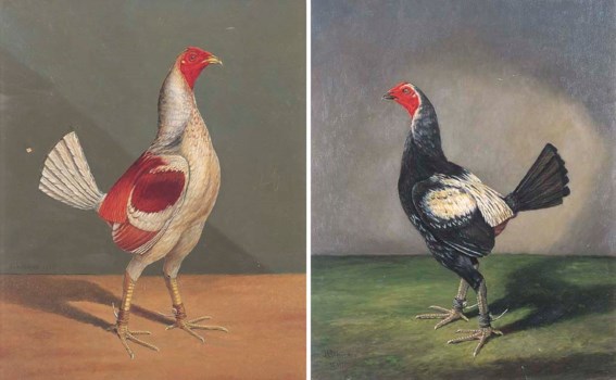 HERBERT ATKINSON (English 19th/20th century), PAIR OF FIGHTING COCKS ...
