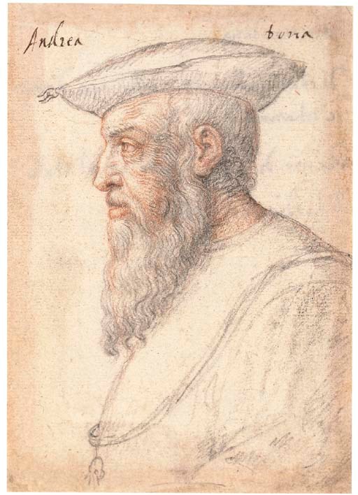 Federico Zuccaro (c.1450-1609) , Portrait of Andrea Doria in profile to ...