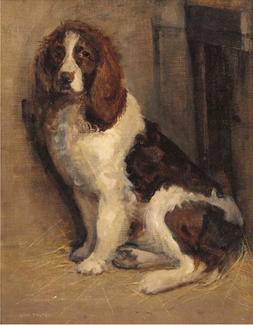 Samuel Fulton (1855-1941) , A cocker spaniel | Christie's