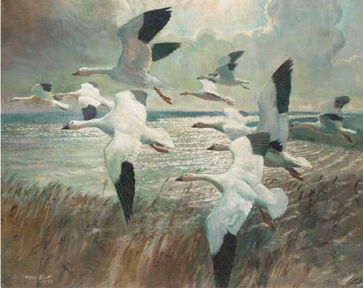 Sir Peter Scott (1909-1989) , Snow geese before the squall | Christie's