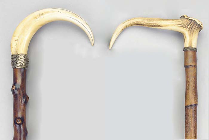 A Continental boar's tusk mounted gnarled wood walking stick