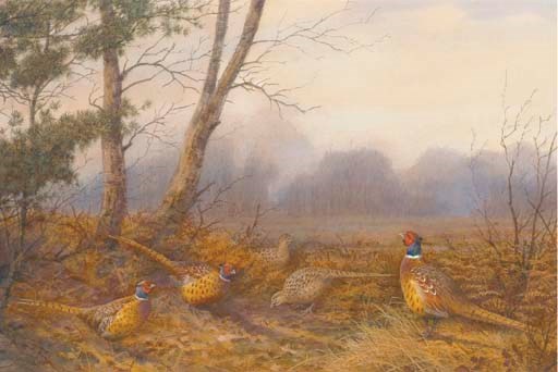 Neil Cox, 20th Century , Pheasants in a clearing | Christie's