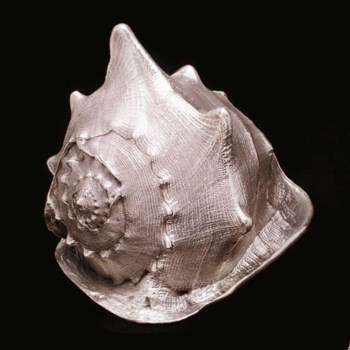 A SILVER-COATED CONCH SHELL, BY PAOLO COSTAGLI | Christie's