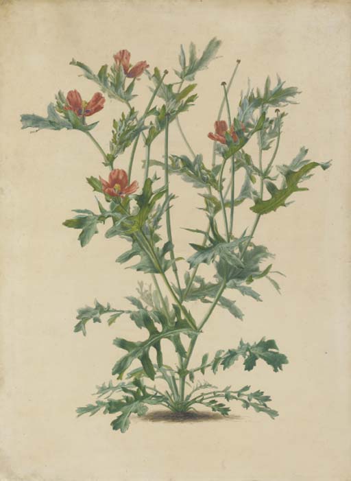 Alfred Riocreux (Actif au 19ème siècle)