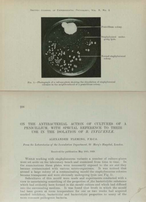 FLEMING, Alexander (1881-1995). "On the Antibacterial Action of ...