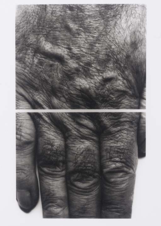 JOHN COPLANS (1920-2003)