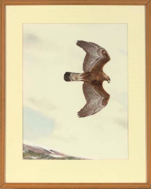 Peter Hayman (British, 20th Century) , Golden Eagle, Inverness | Christie's