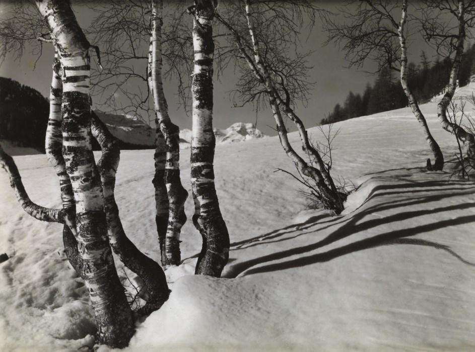 ALBERT STEINER (1877-1965)