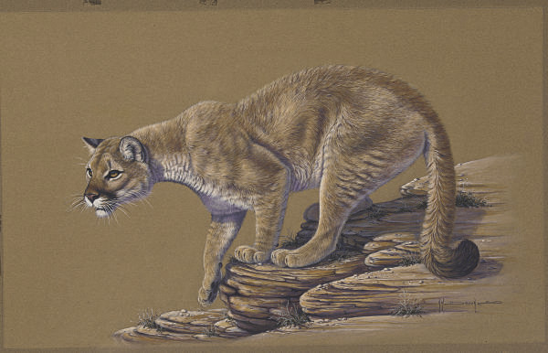 Kim Brooks (British, b. 1936)