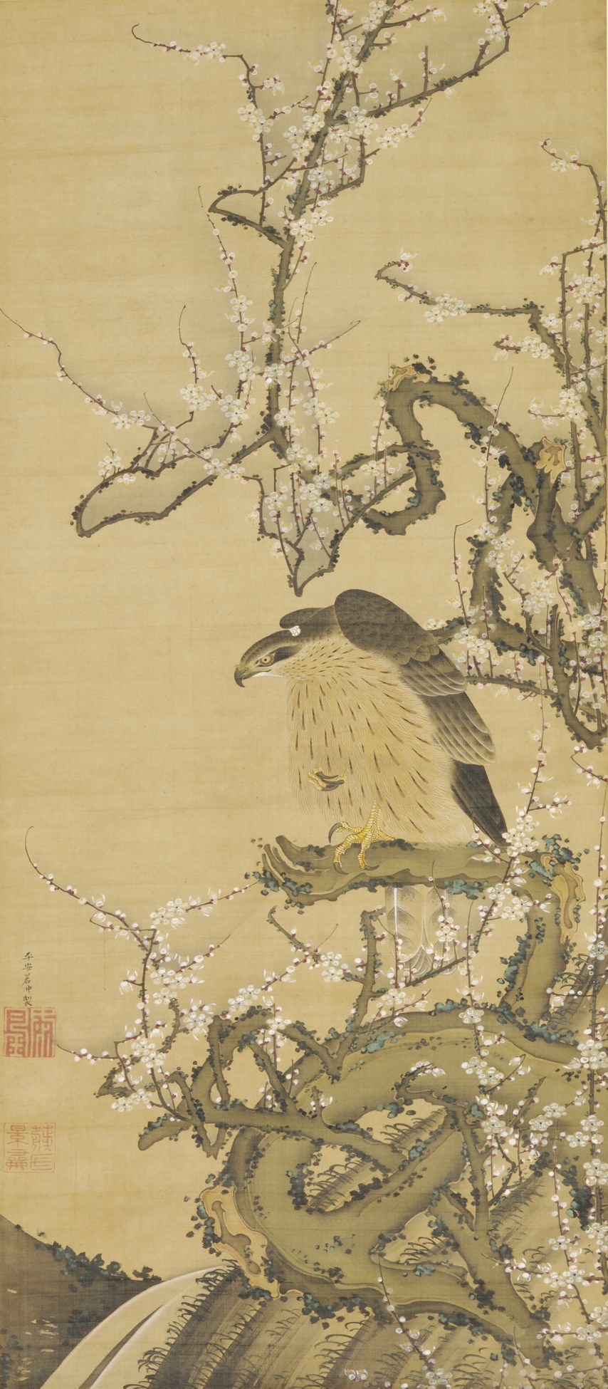 Ito Jakuchu (1716-1800) , Hawk on a blossoming plum branch | Christie's