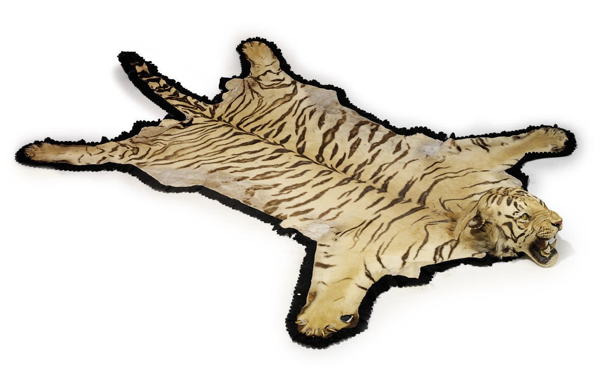 AN INDIAN TAXIDERMY TIGER SKIN , EARLY 20TH CENTURY | Christie's
