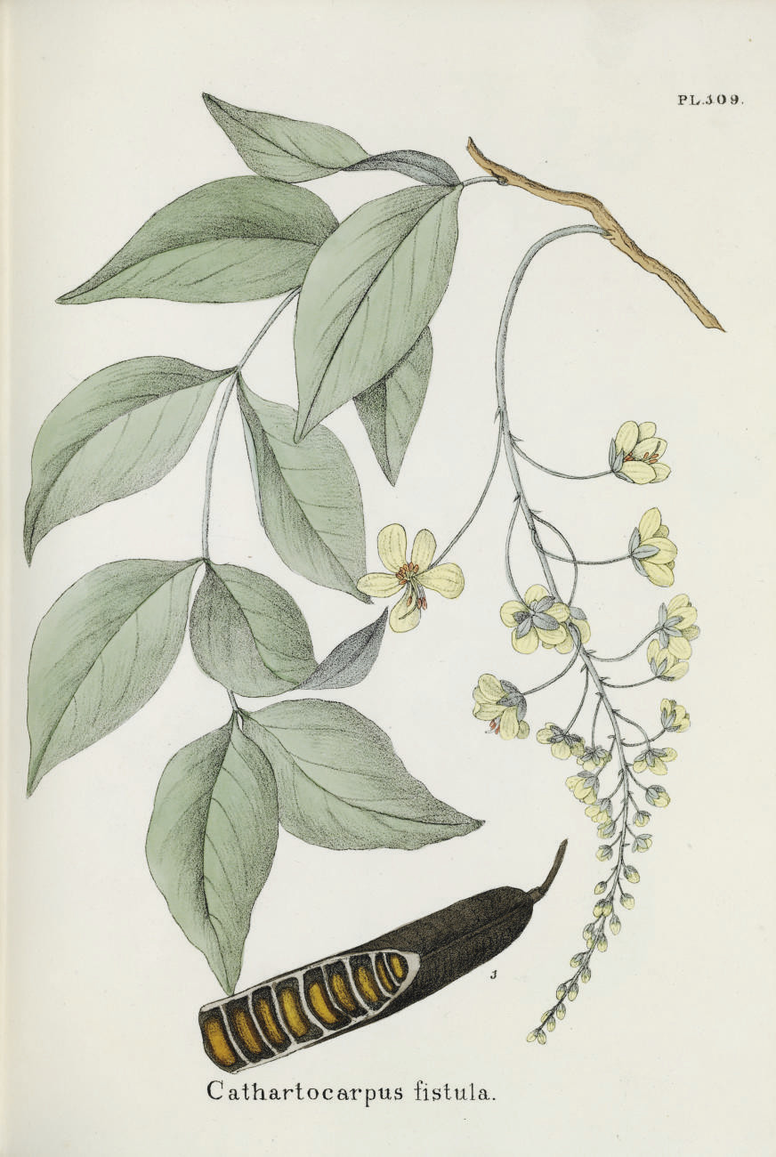 Diaulos Player and Faun, PABLO PICASSO (1881-1973) | Christie’s