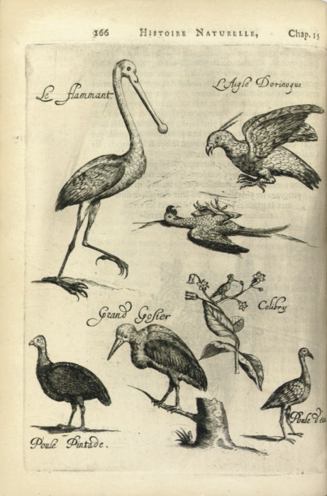 [ROCHEFORT, Charles de (1605-1683)]. Histoire naturelle et morale des ...