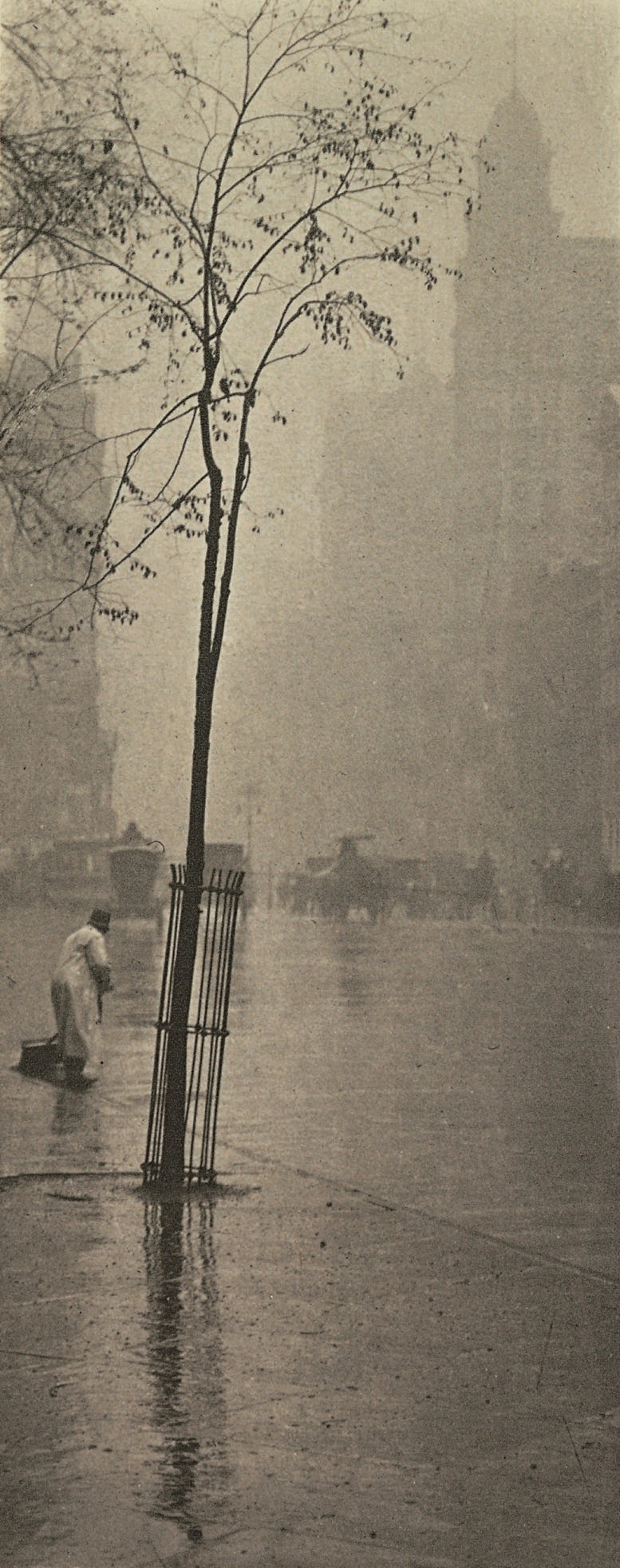 ALFRED STIEGLITZ (1864-1946) , Studies from Camera Work , 1907-1917 ...
