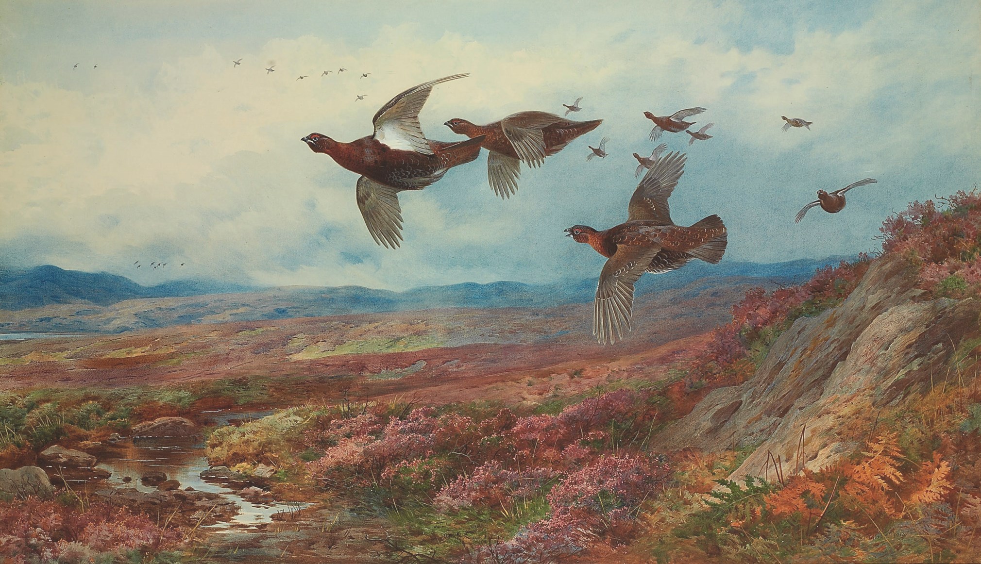 Archibald Thorburn (1860-1935)