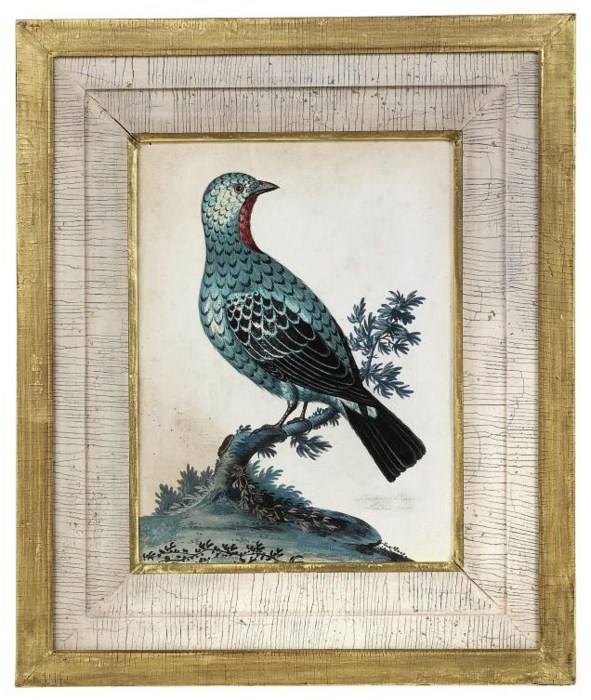A GEORGE III EMBOSSED BIRD PICTURE , BY ISAAC SPACKMAN, CIRCA 1764 ...