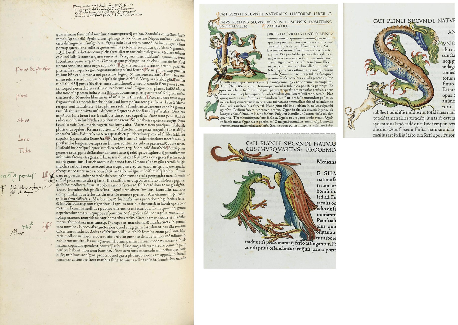 PLINIUS SECUNDUS, Gaius (23-79). Historia Naturalis. Edited by Joannes ...