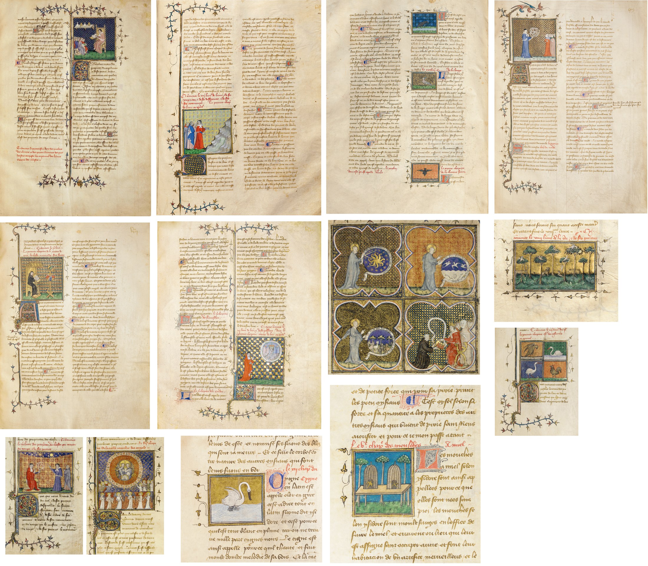BARTHOLOMAEUS ANGLICUS (by 1203-1272), Le livre des propriétés des ...