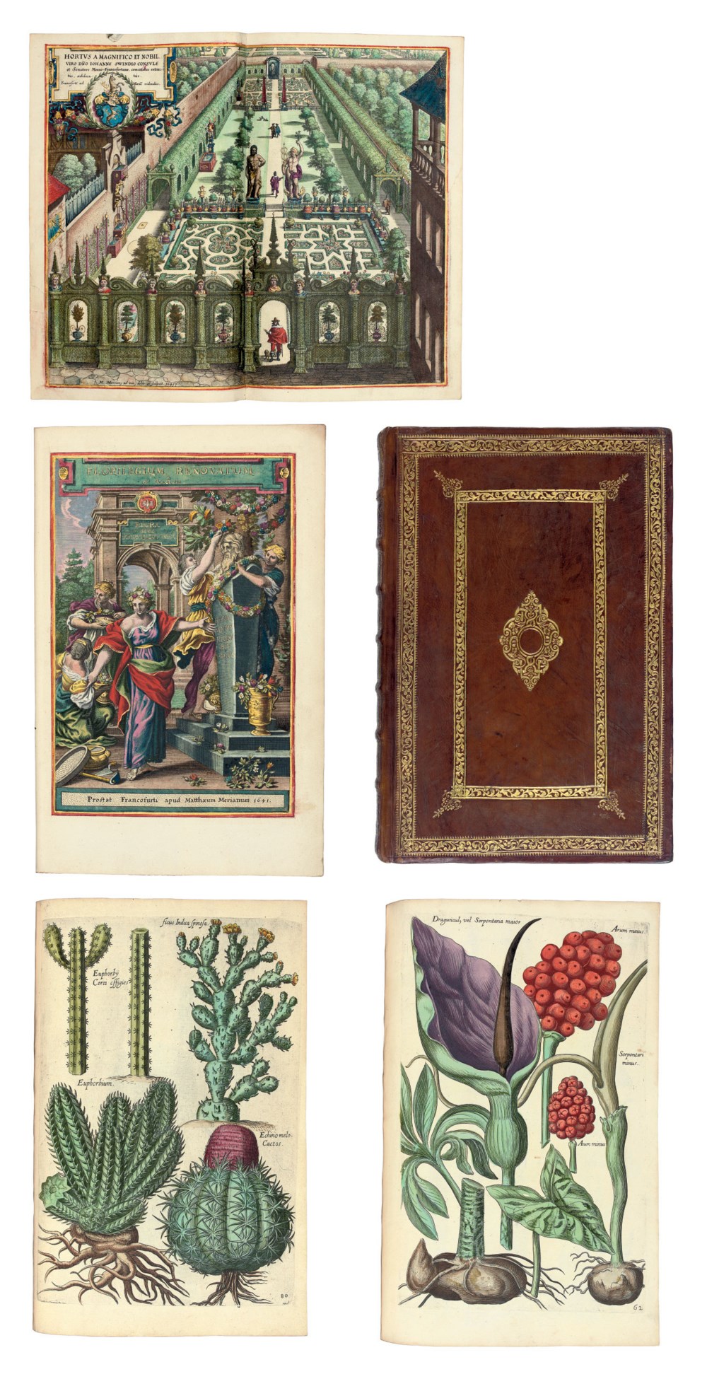 BRY, Johann Theodor de (1561-1623). Florilegium renovatum et auctum ...