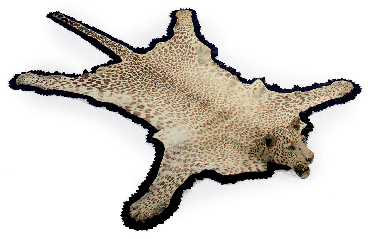 Leopard Skin Rug