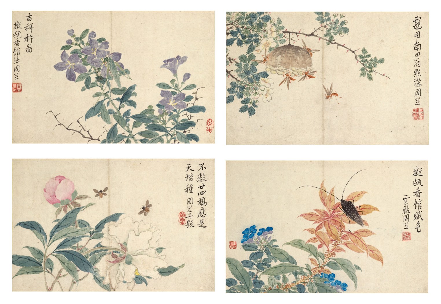 ZHOU LI (17TH-18TH CENTURY) , Flowers and Insects | Christie's
