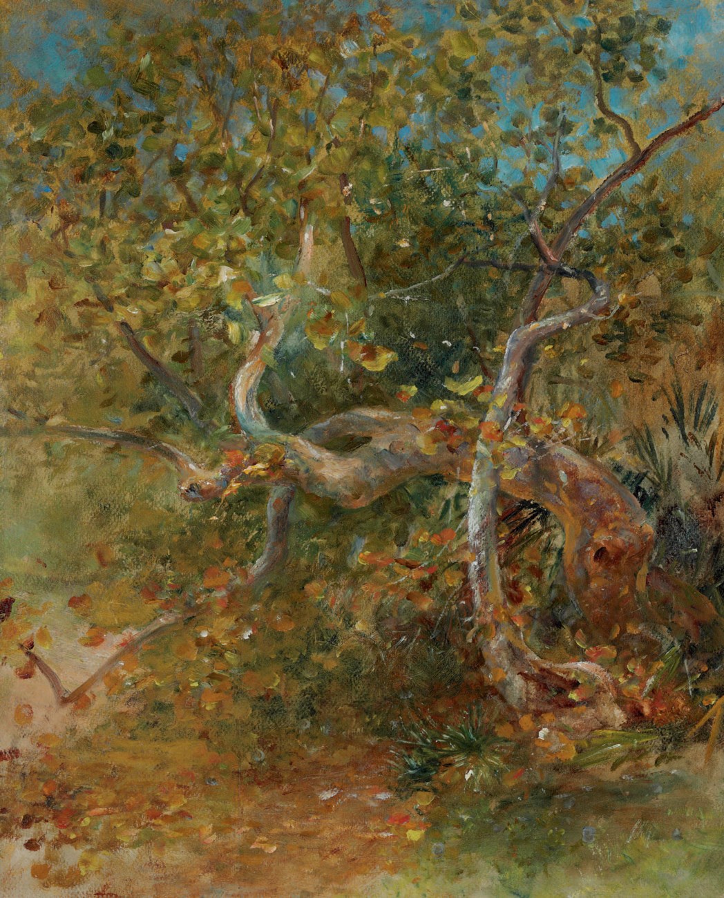 Louis Comfort Tiffany (1848-1933) , Tree and Leaves, Comfort Lodge ...