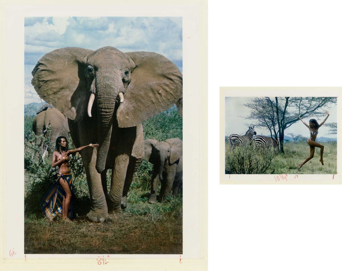 PETER BEARD , Iman, 'Beauty and the Beasts', January 1986 | Christie's