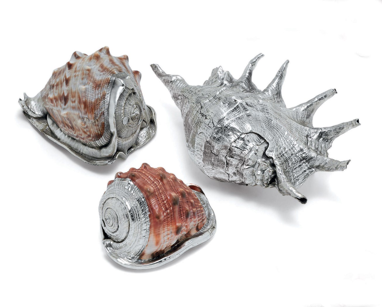 THREE ITALIAN SILVER-MOUNTED SHELLS , MARK OF JG ARGENTERIE, 20TH ...