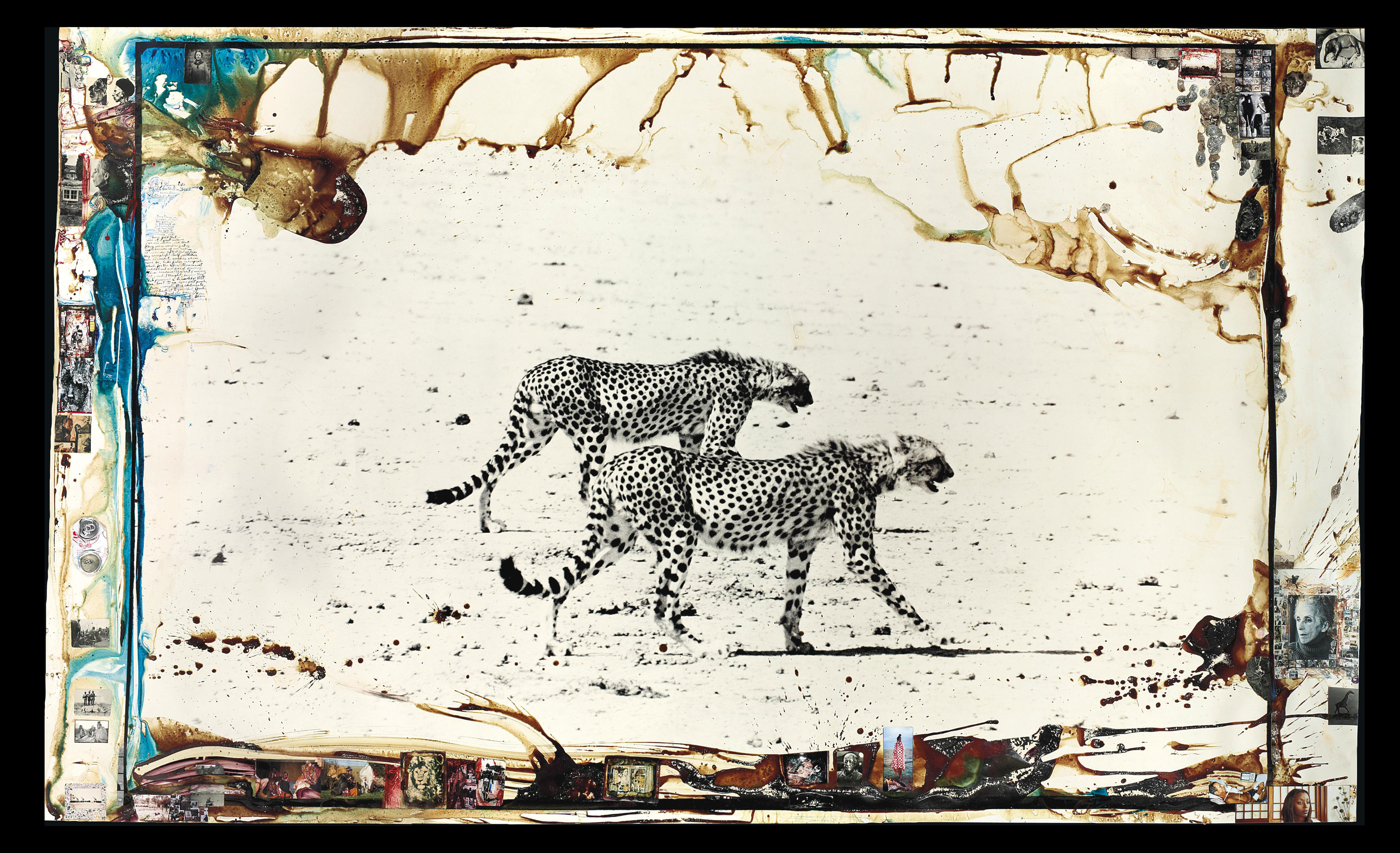 PETER BEARD (b. 1938)
