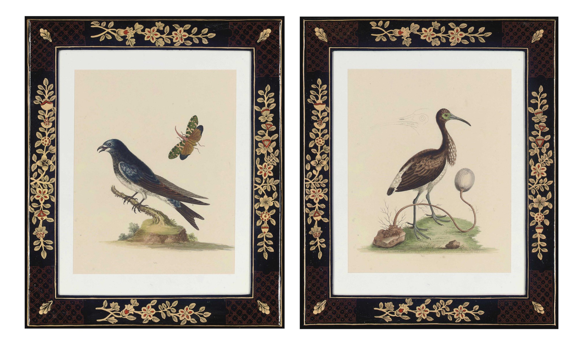 George Edwards (1694-1773)